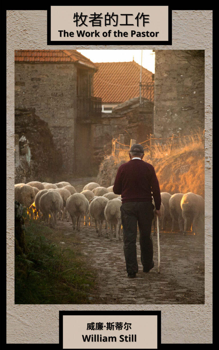 The Work of the Pastor – Reformation Translation Fellowship